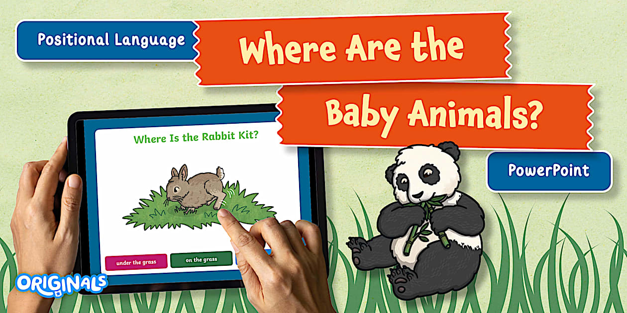 Where Are the Baby Animals? Positional Language Game