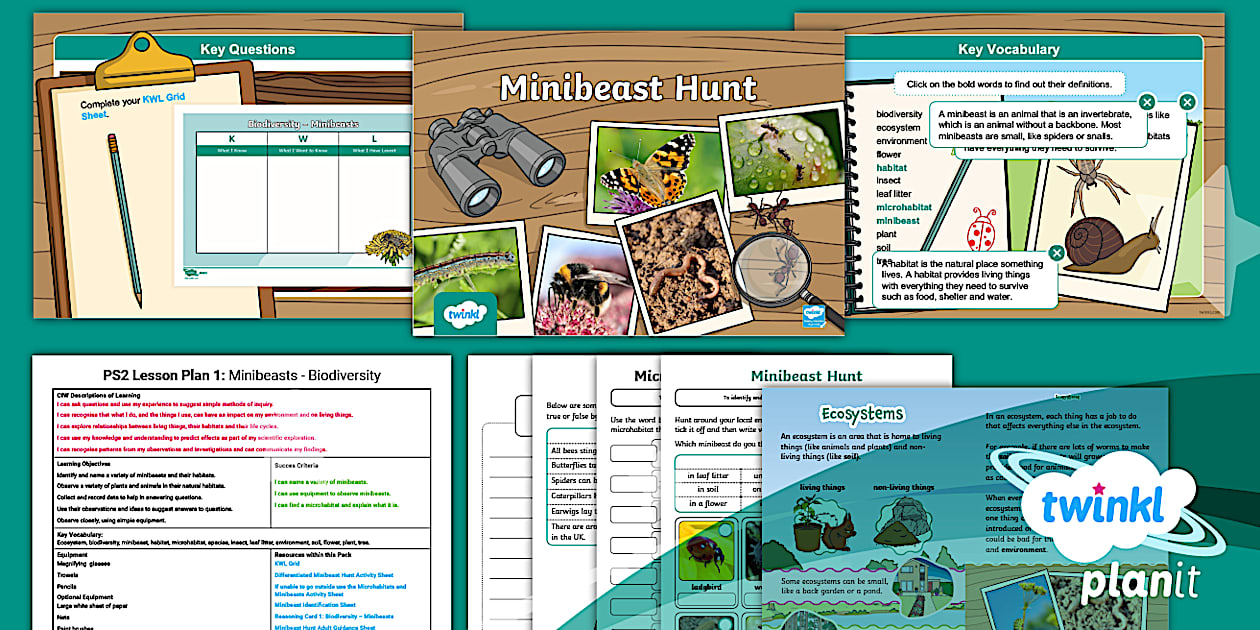 CfW PS2 Lesson Plan 1: Minibeast – Biodiversity - Twinkl