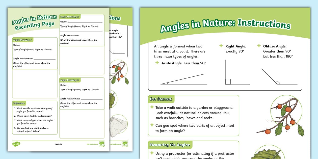 Outdoor Maths: Angles in Nature (teacher made) - Twinkl