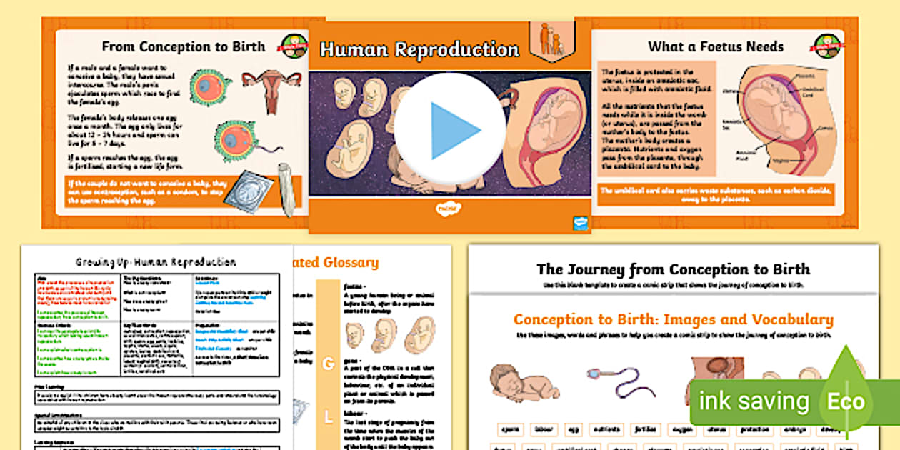 PSHE: UKS2 Growing Up - Lesson Pack 6 (teacher made)