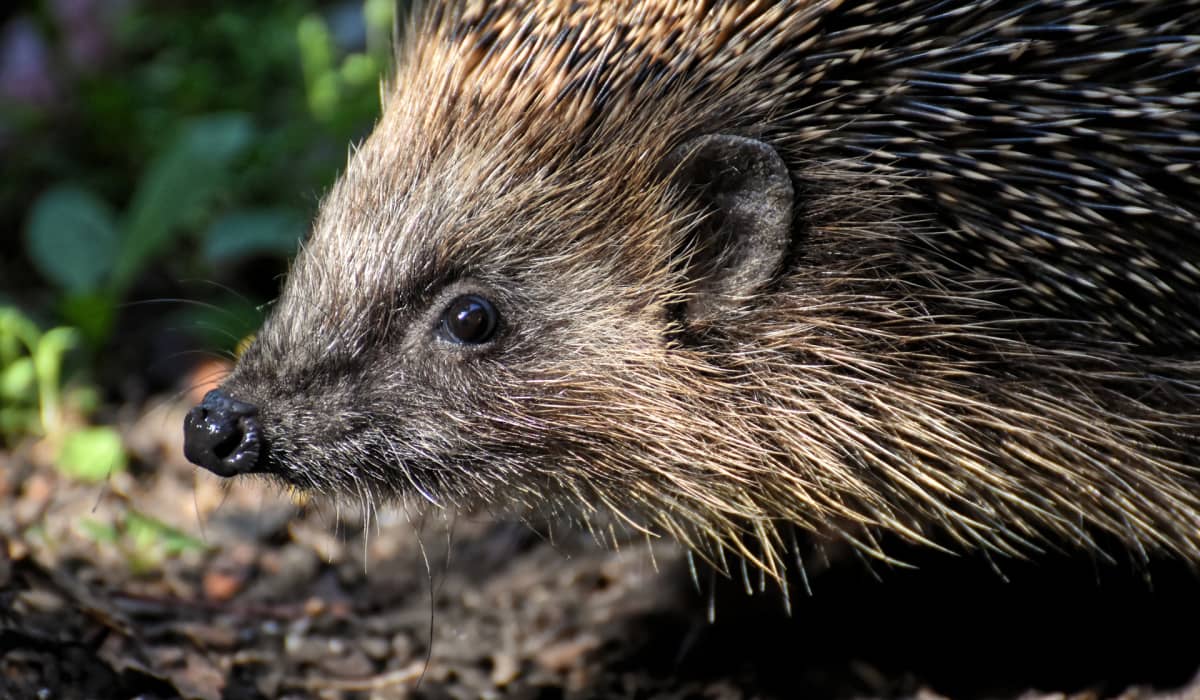 Reunited - Twinkl NewsRoom - Twinkl