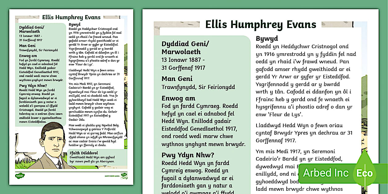 Ffeil Ffeithiau Hedd Wyn (Hecho por educadores) - Twinkl