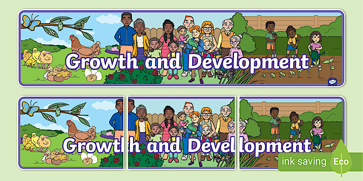 Growth and Development Display Banner (Teacher-Made)