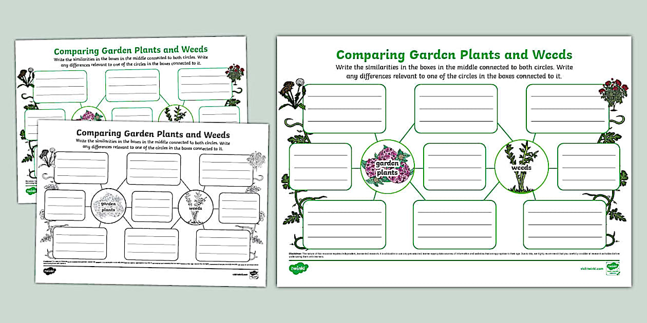 Comparing Garden Plants and Weeds Mind Map (Teacher-Made)