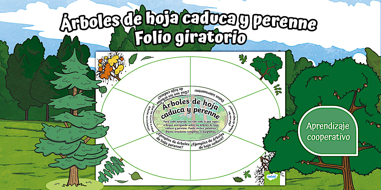 Folio giratorio: Árboles de hoja caduca y perenne - Aprendizaje cooperativo