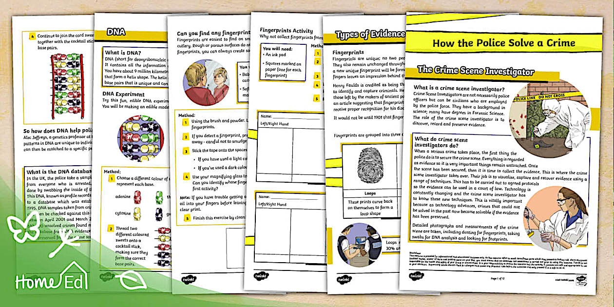 How the Police Solve a Crime (teacher made) - Twinkl