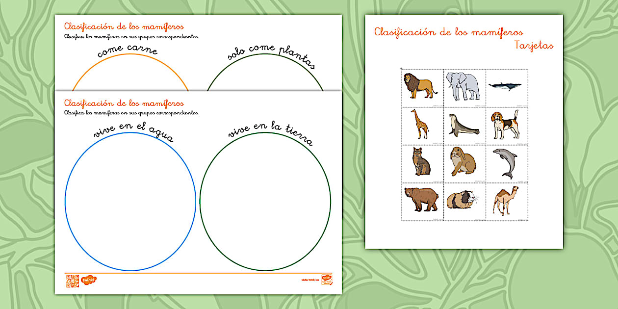 Ficha de actividad: Clasificar mamíferos - Twinkl