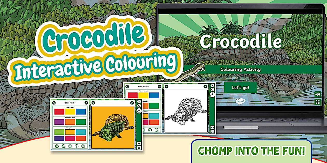 * NEW * Intermediate Phase - Crocodile - Interactive Colouring