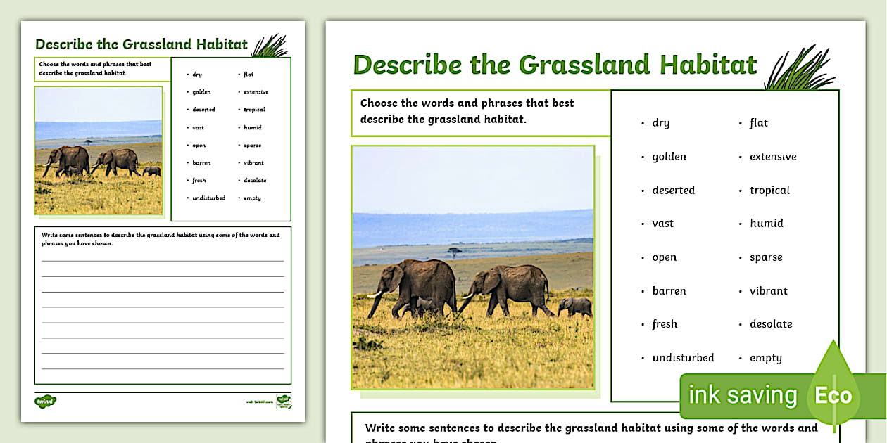 Describe the Grassland Habitat Worksheet (Teacher-Made)