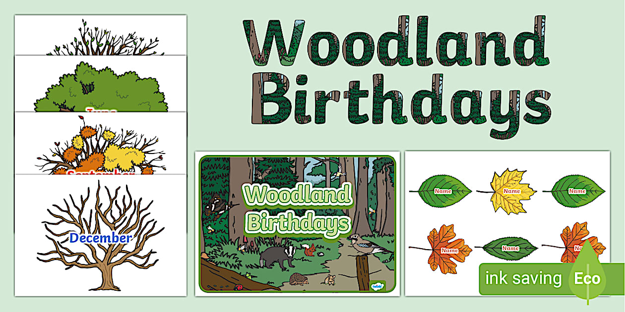Woodland Birthday Display Pack - Twinkl - KS1 (Teacher-Made)