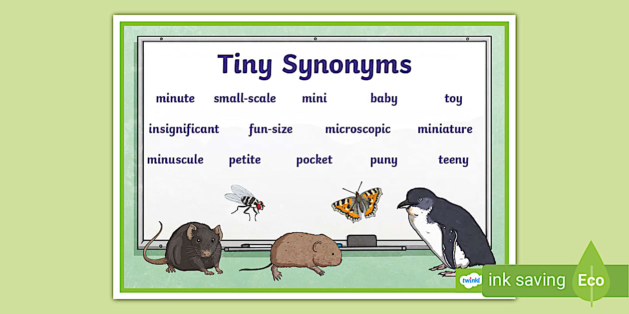 Tiny Synonyms Word Mat (teacher made) - Twinkl