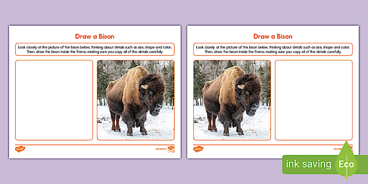 Draw a Bison Worksheet (teacher made) - Twinkl