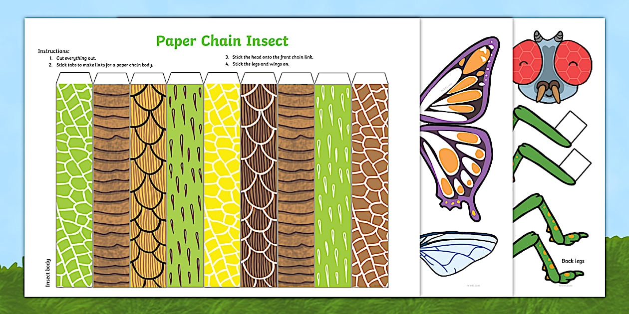 Insect Craft | Insect Paper Chain Craft | Teacher-made Craft