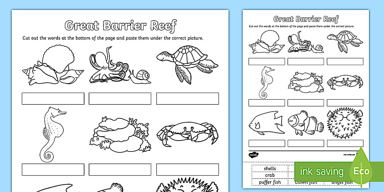 SA Great Barrier Reef Vocabulary Poster Mat (teacher made)