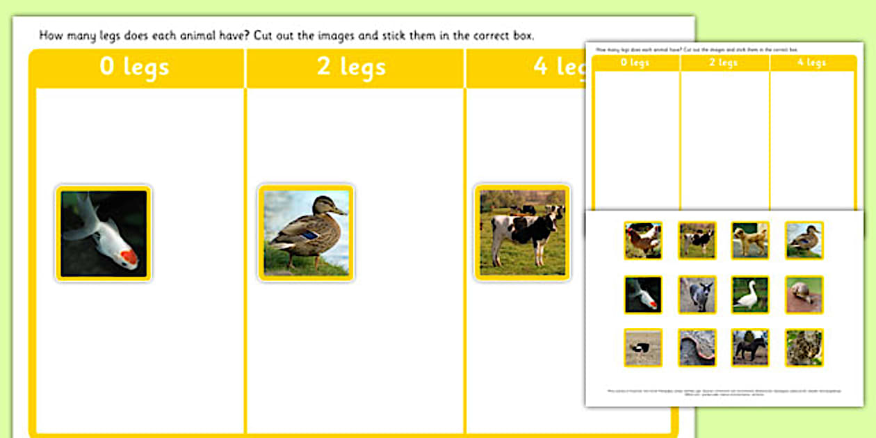 Photo Animal Leg Sorting Activity (teacher made) - Twinkl
