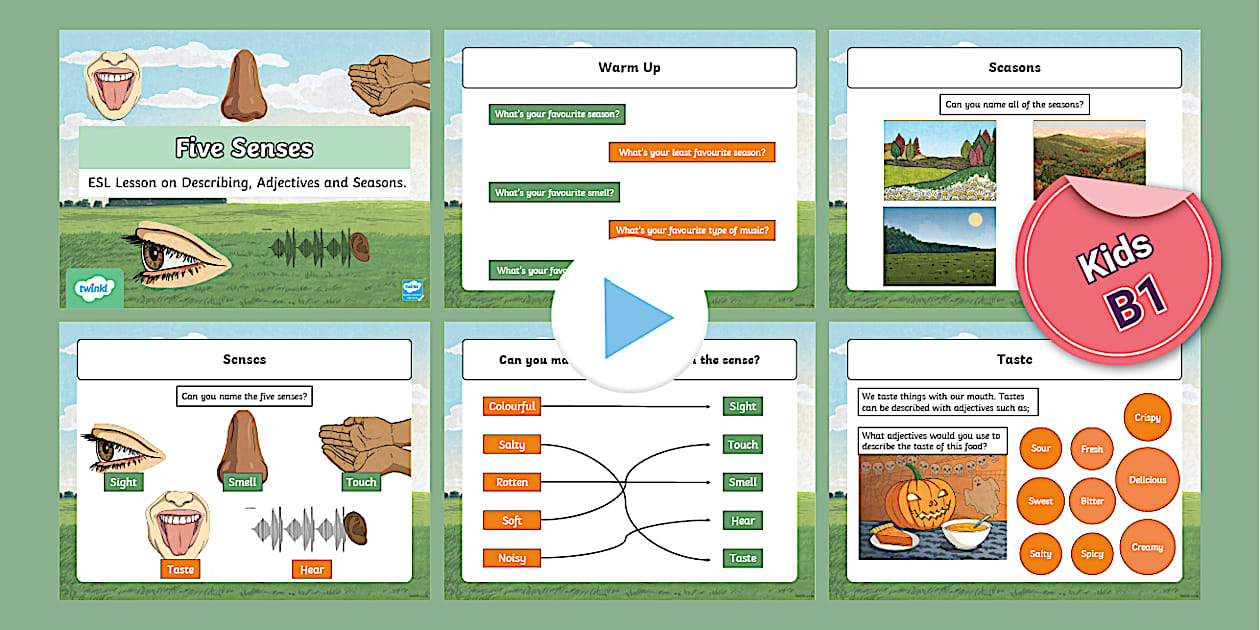 ESL Fives Senses Lesson [Kids, B1] (teacher made) - Twinkl
