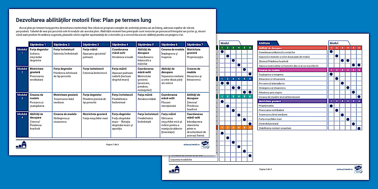 Dezvoltarea abilităților motorii fine: Plan pe termen lung
