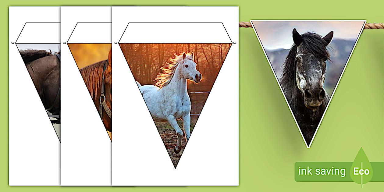 Horse Photo Bunting (teacher made) - Twinkl