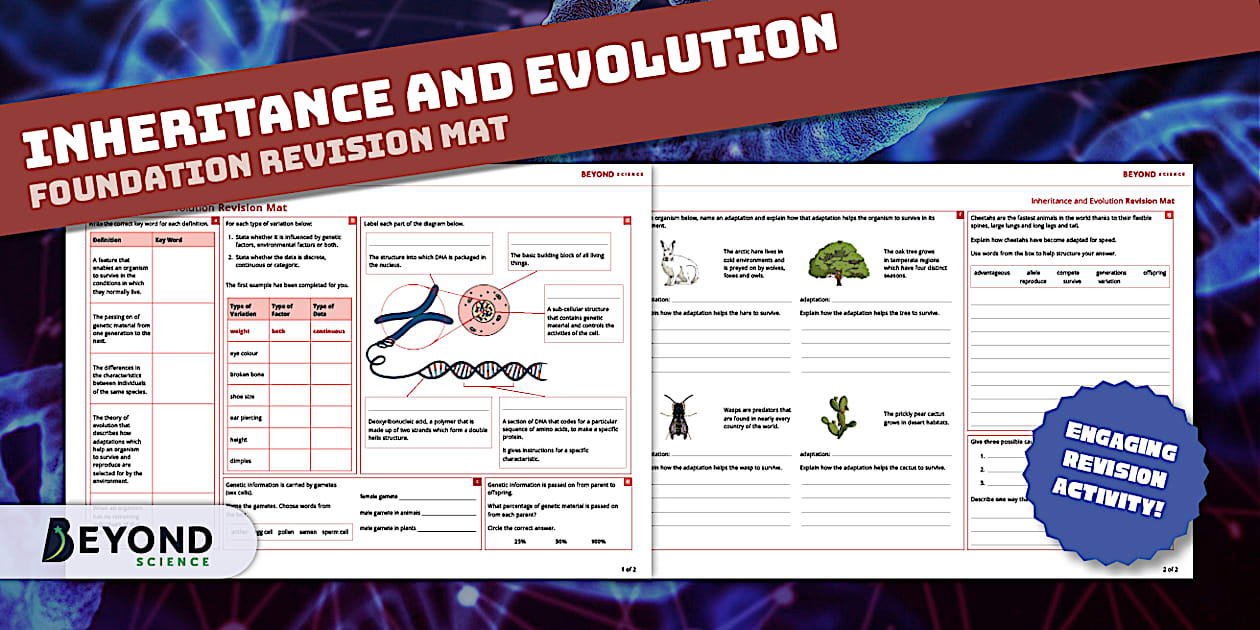 Inheritance and Evolution Revision Mat Foundation | Beyond