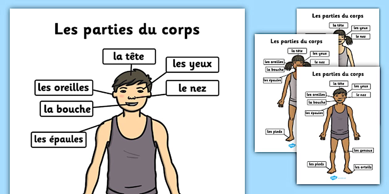 Parties Du Corps Head and Shoulders A4 French (teacher made)