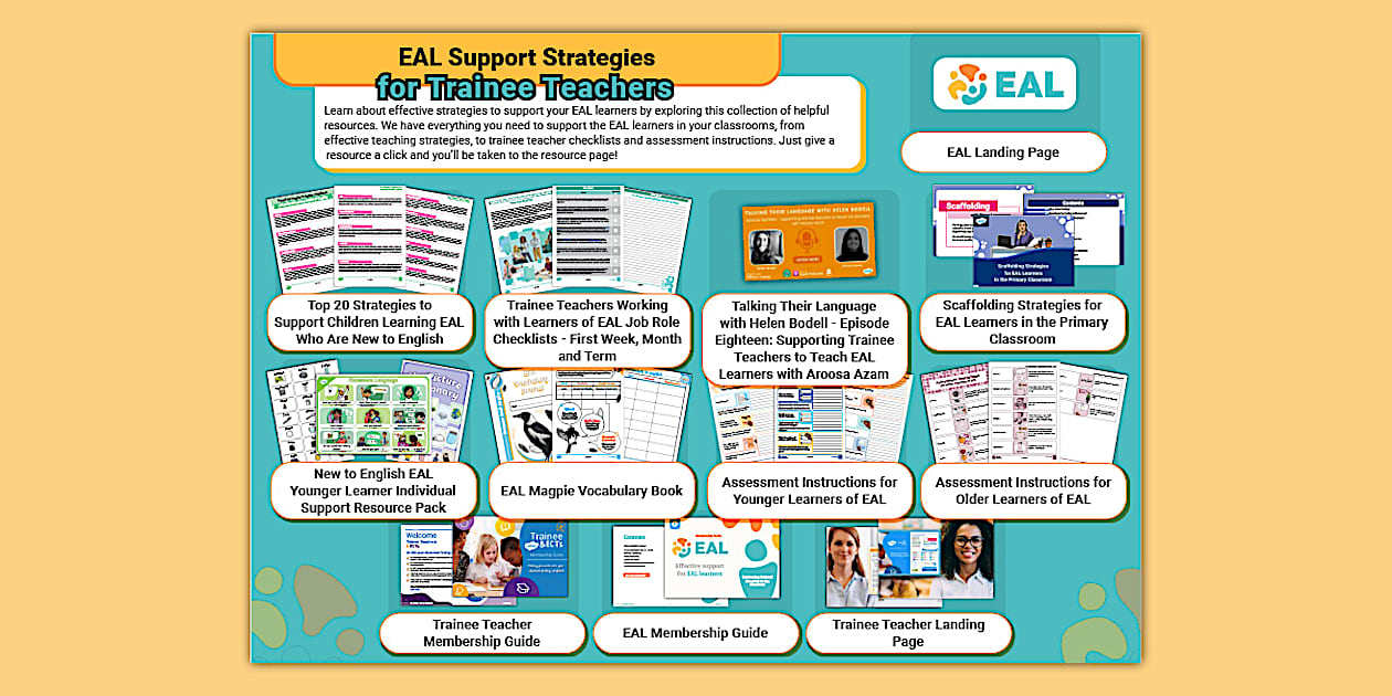 EAL Support for Trainee Teachers PDF (teacher made) - Twinkl