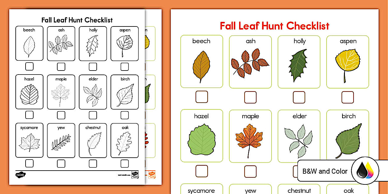 Fall Leaf Hunt Checklist (Teacher-Made) - Twinkl