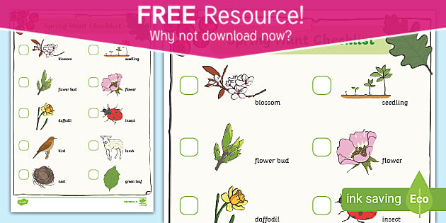 FREE! - Signs of Spring Worksheet & Checklist - Twinkl