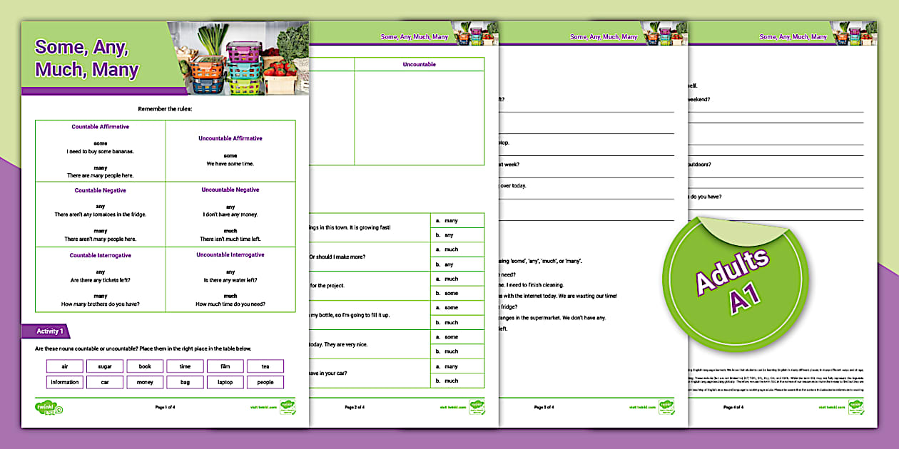 ESL Some, Any, Much, Many Activity Sheet [Adults, A1]