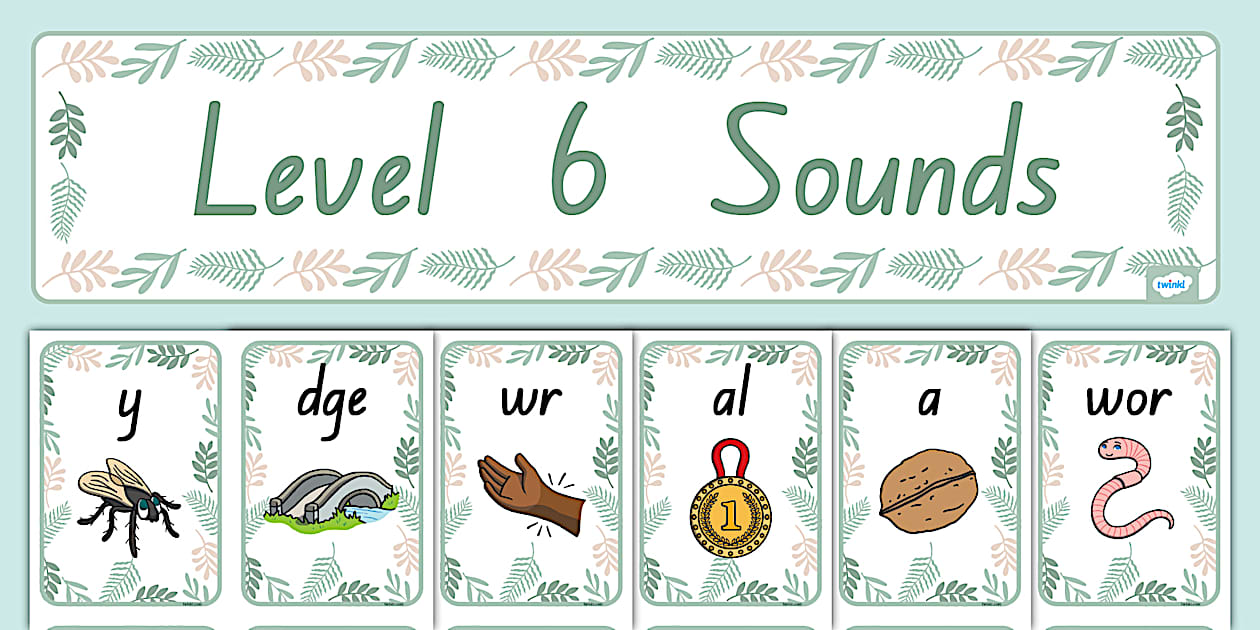 Level 6 Sounds Botanical Display Pack (teacher made)