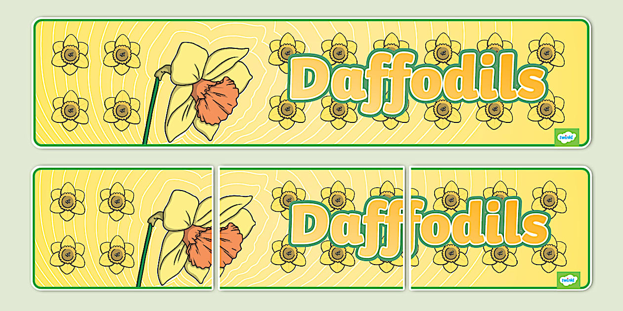 Daffodils Display Banner (Teacher-Made) - Twinkl