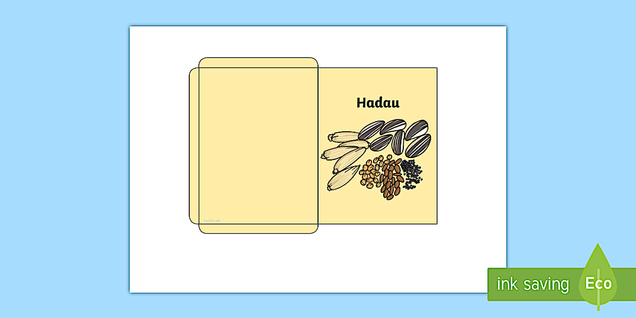 Templed Paced Hadau (teacher made) - Twinkl