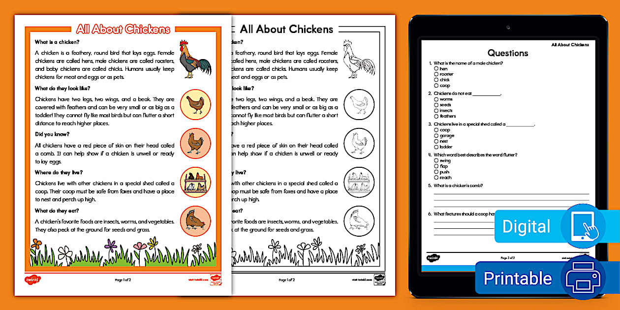 All About Chickens Reading Comprehension Worksheet - Twinkl