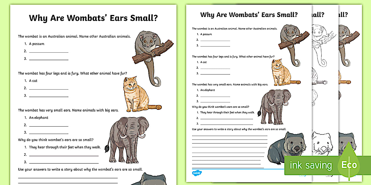 TAS Why Are Wombats' Ears Small? Activity (teacher made)