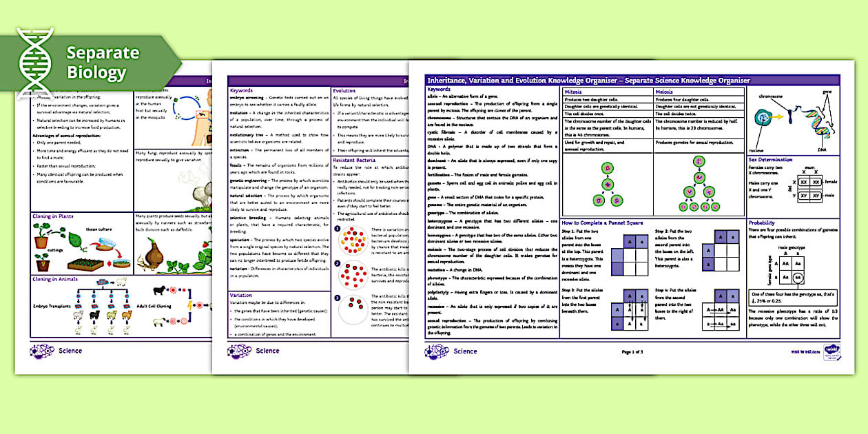 Inheritance Knowledge Organiser | AQA Biology | Beyond