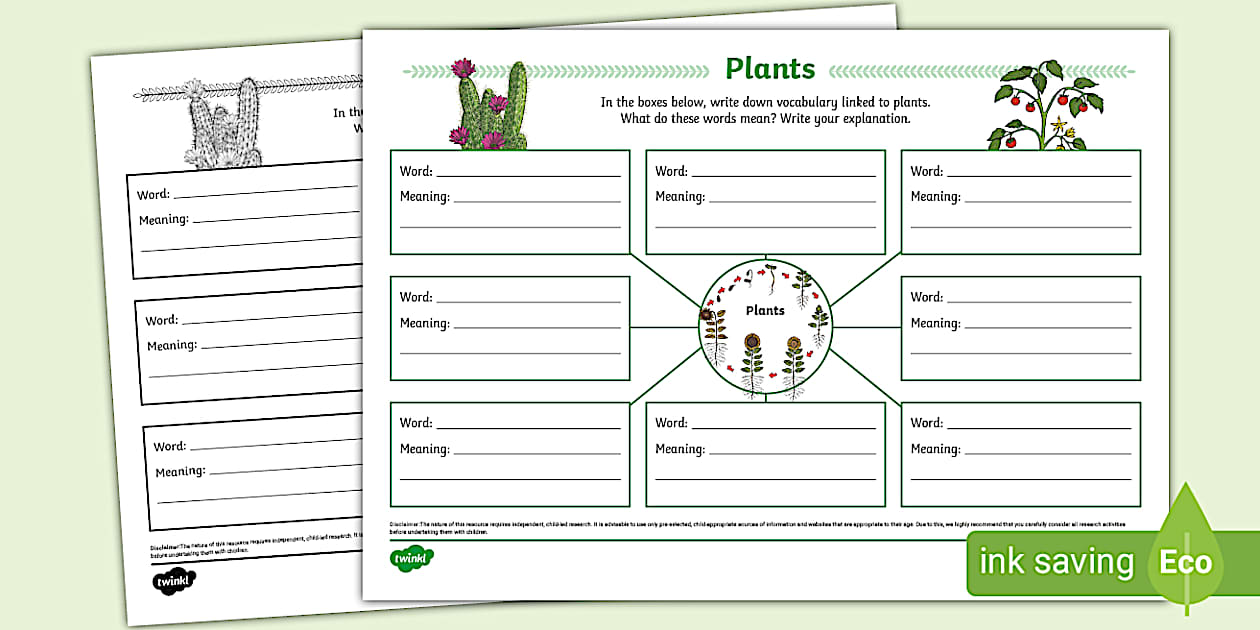 Plants Vocabulary Mind Map