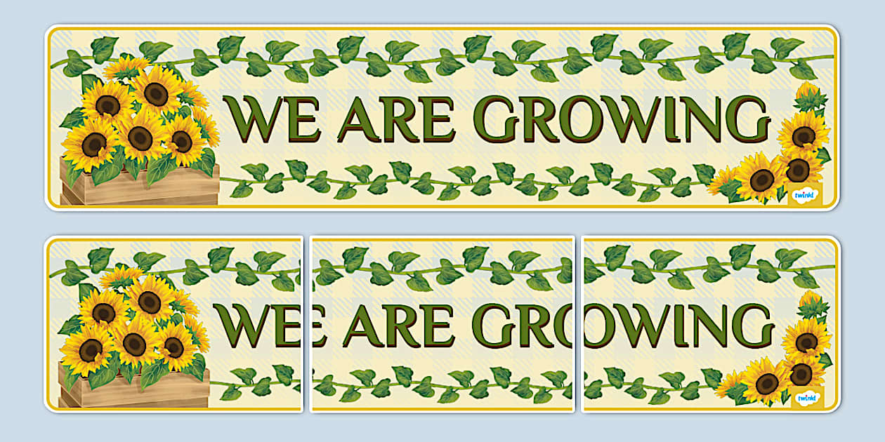Sunflower-Themed We Are Growing Display Banner - Twinkl
