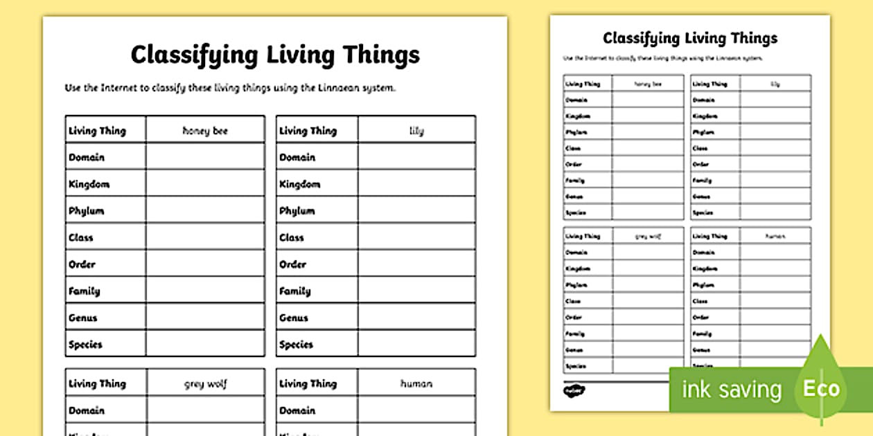 Classifying Living Things Worksheet - Twinkl