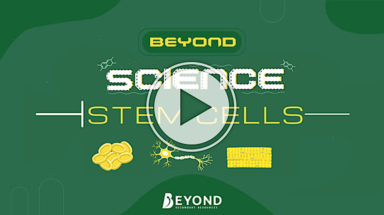 KS4 Cell Biology Stem Cells Video | Beyond Secondary