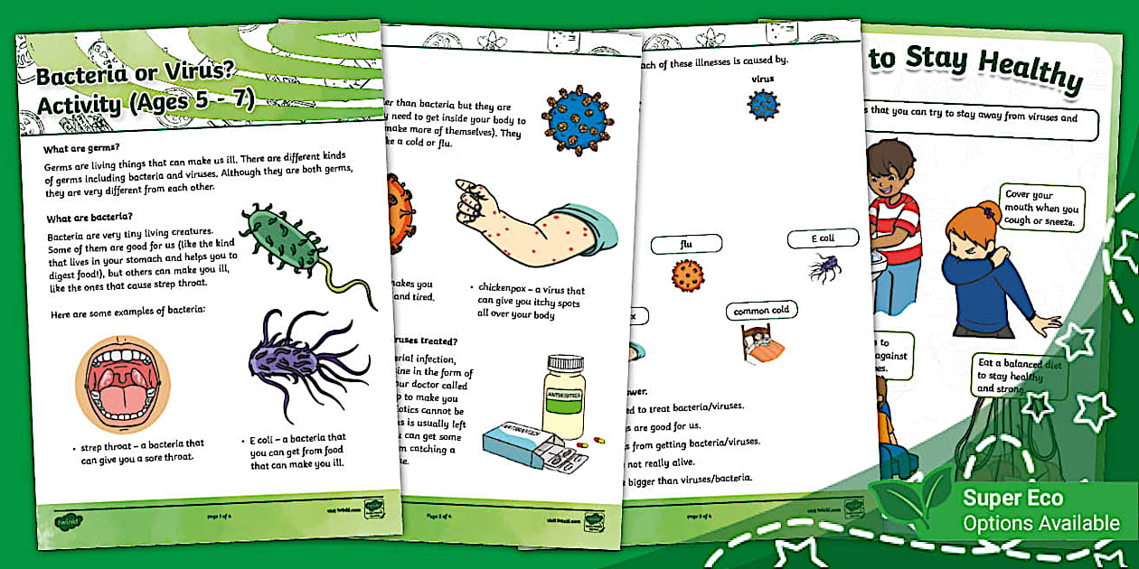 * NEW * Bacteria or Virus? Activity (Ages 5–7) - Twinkl