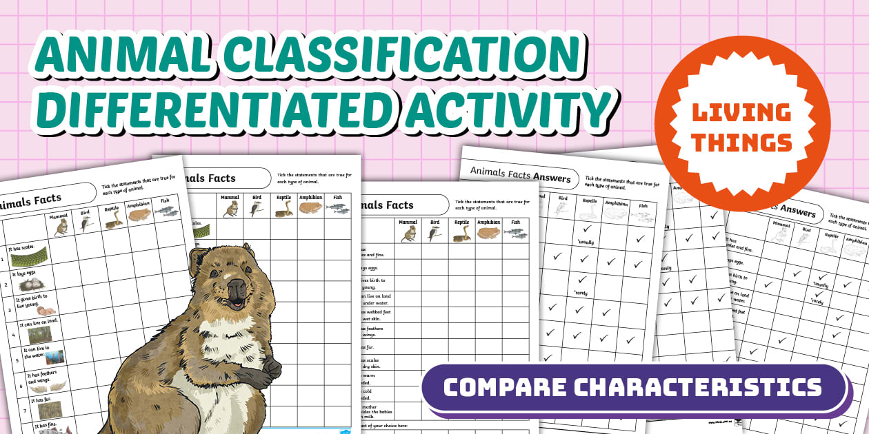 Animal Classification Activity for Years 3–4