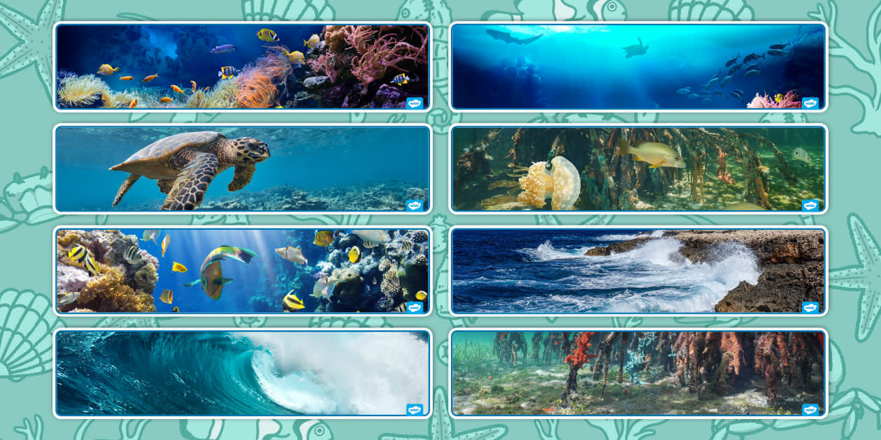 Ocean Small World Background Pack (teacher made) - Twinkl