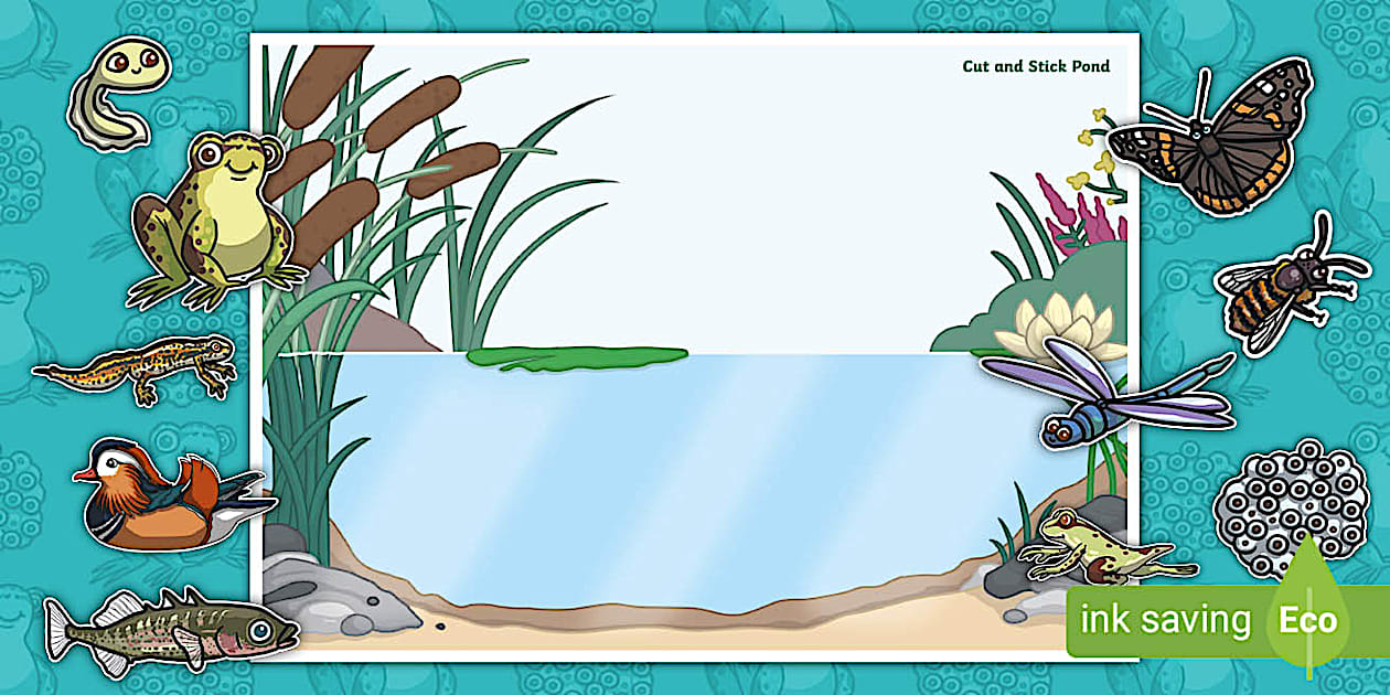 Cut and Stick Pond Activity (Teacher-Made) - Twinkl