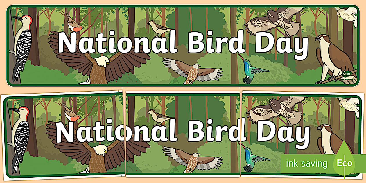 National Bird Day Banner (teacher made) - Twinkl