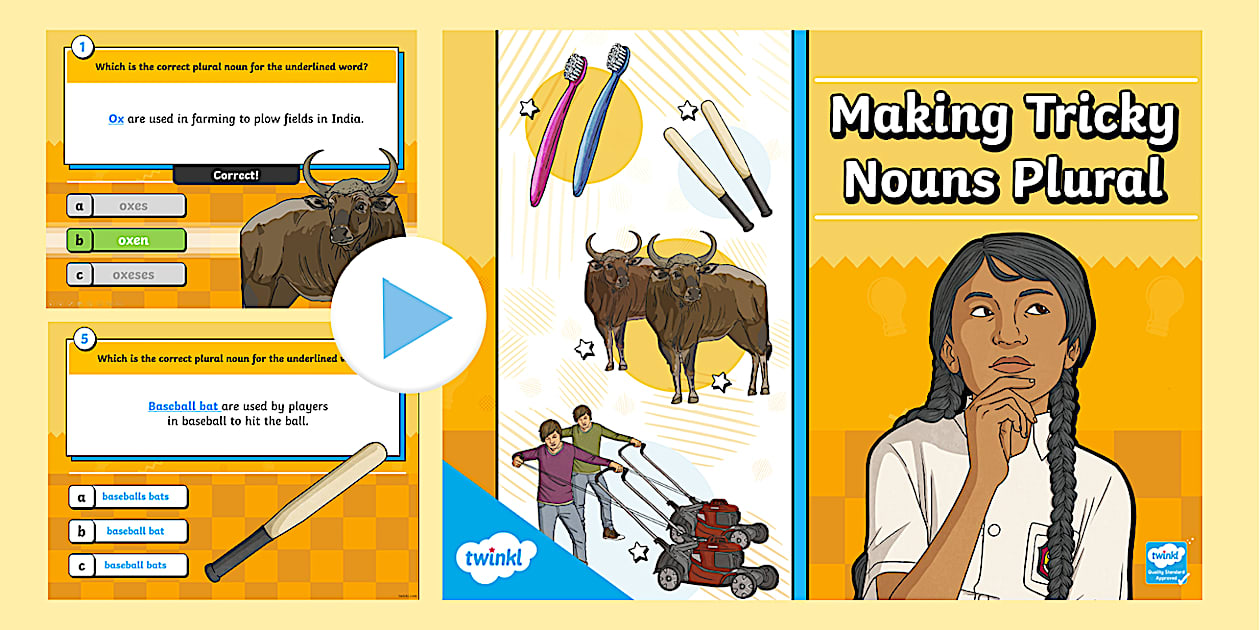 Making Noun Plural Tricky Examples and Exceptions SPaG PowerPoint