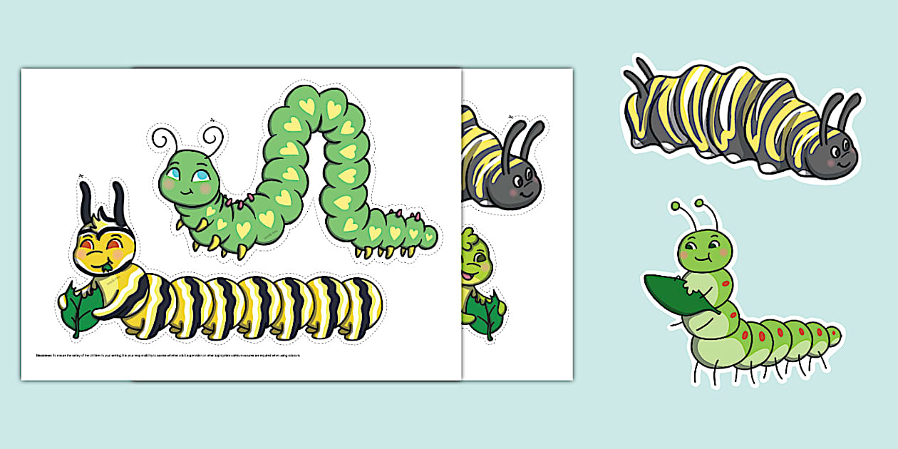 Caterpillar Cut-Outs (teacher made) - Twinkl