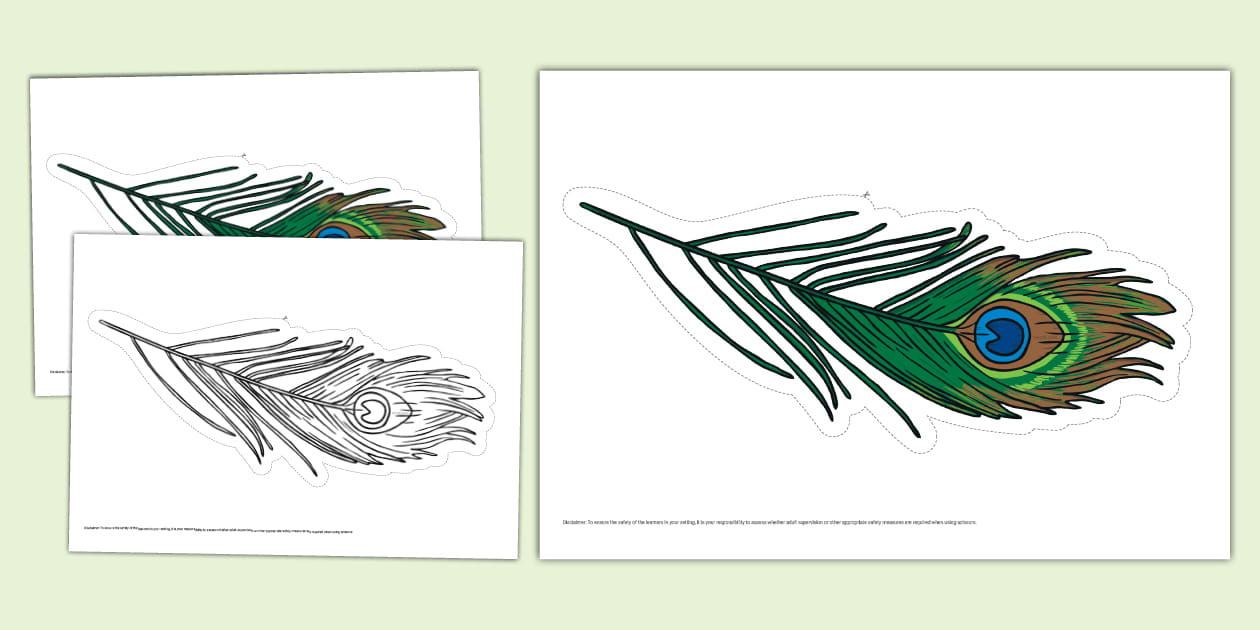 Peacock Feather Display Cut Out - Twinkl