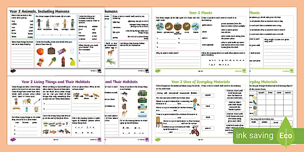 Year 2 Science Revision Activity Mat Pack (teacher made)