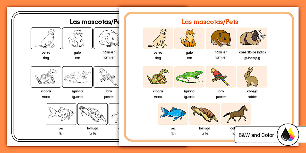 Pets Word Mat in Spanish/English (teacher made) - Twinkl