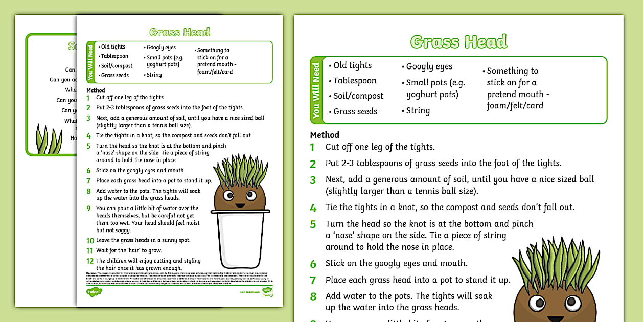 Grass Head Science Experiment - Kindergarten (Teacher-Made)
