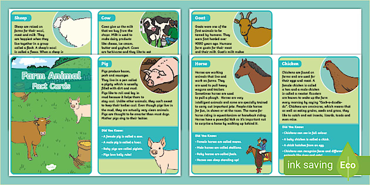 Farm Animal Fact Cards